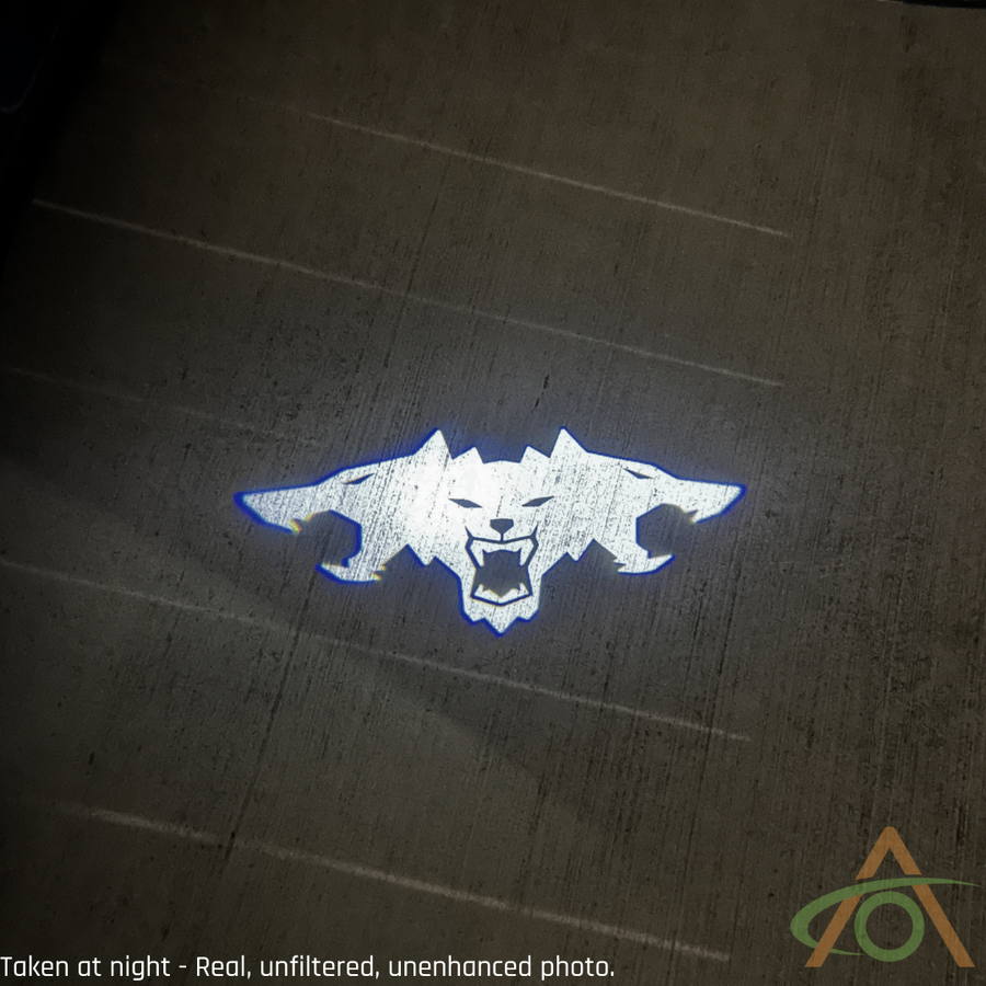 Cybertruck Mega-Bright LED Premium Puddle Lights (pair)