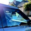 Dog and Pet Mode Enabled Cling for your EV